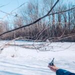 Ottawa: Guided Nature Walk & Wildlife Tour with Hotel Pickup - The Practical Side: Price, Duration, and Value