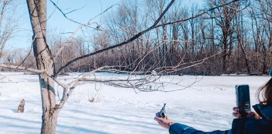 Ottawa: Guided Nature Walk & Wildlife Tour with Hotel Pickup - The Practical Side: Price, Duration, and Value