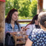 Ottawa: Local Wine and Cider Tour - Analyzing the Cost and Overall Value