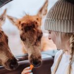 Ottawa: Private Wildlife Adventure Safari in Parc Omega - What’s Included and What to Bring