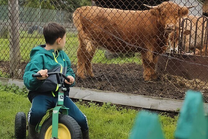 Ottawa Valleyview Little Animal Farm Tour - Analyzing the Value