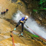 Outdoor Zipline Adventure - Transportation & Logistics