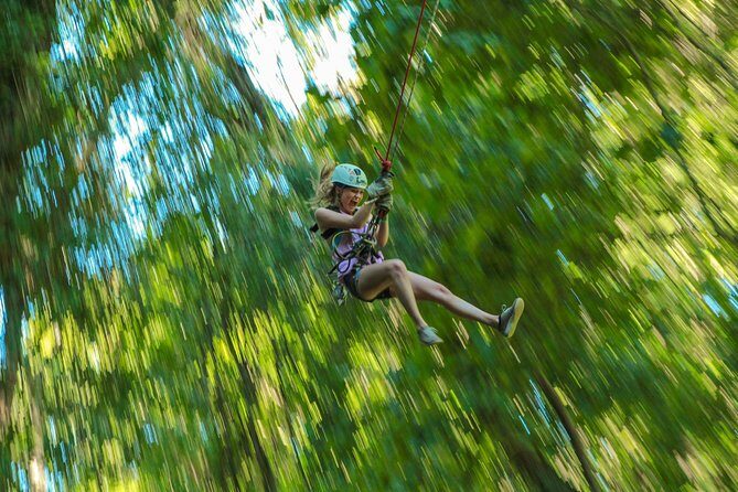 Outdoor Ziplining and UTV Adventure from Los Cabos - Who Should Book This Tour?