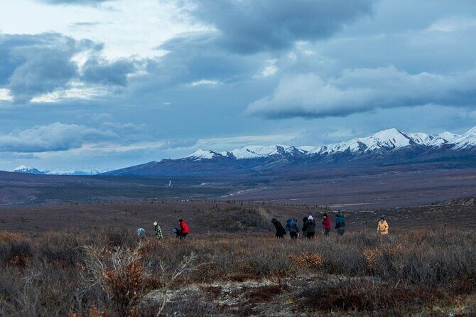 Overnight Denali National Park plus Aurora Chase Tour - Who Should Consider This Tour?
