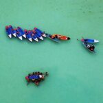 Paddle at Dawn with visit to Cenotes and Islands - Authentic and Practical: Why You Should Consider This