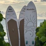 Paddle Board Picnic Peanut Island Palm Beach Singer Island - Why This Tour Offers Great Value
