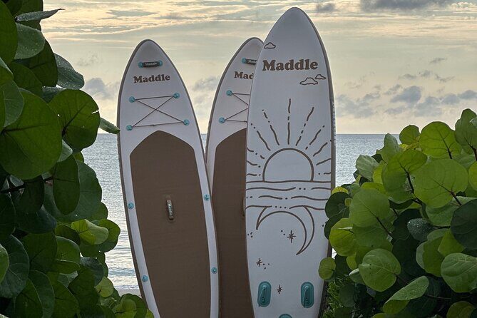 Paddle Board Picnic Peanut Island Palm Beach Singer Island - Why This Tour Offers Great Value