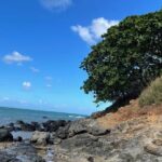 Paddle boarding and hiking adventure at Mokoli'i Island. - The Real-World Perspective: Authentic Experiences & Feedback