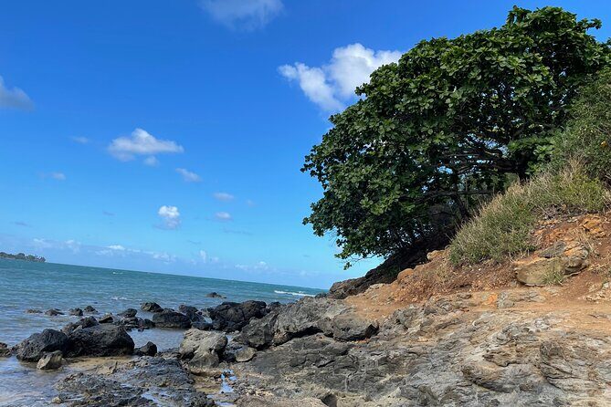 Paddle boarding and hiking adventure at Mokoli'i Island. - The Real-World Perspective: Authentic Experiences & Feedback