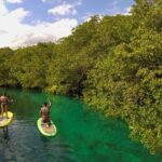 Paddleboard Cenote Tour - Deep Dive into the Itinerary