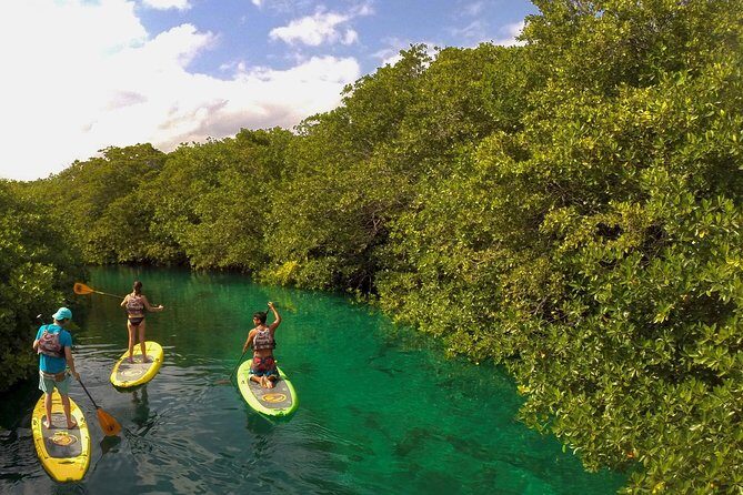 Paddleboard Cenote Tour - Deep Dive into the Itinerary