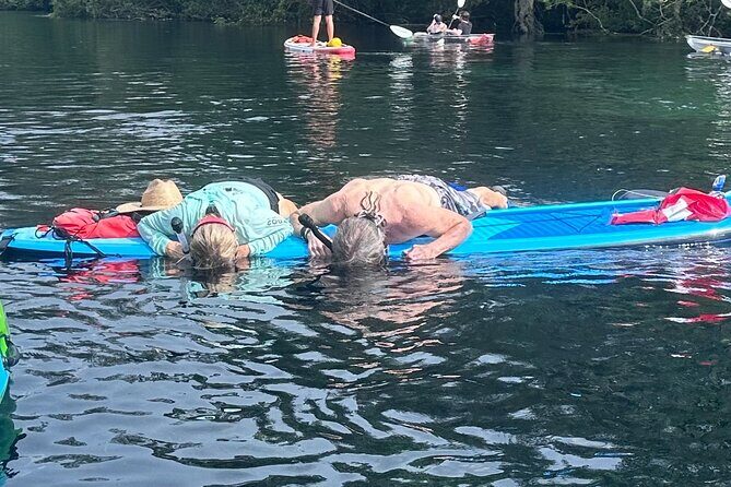 Paddleboard Rental  Three Sisters Springs & Manatee Refuge - The Value of the Experience