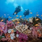 PADI Discover Scuba Diving - What’s Included and What to Keep in Mind