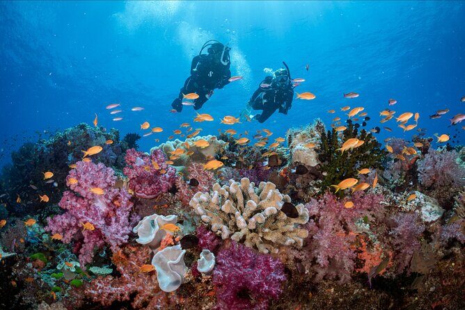 PADI Discover Scuba Diving - What’s Included and What to Keep in Mind