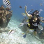 PADI Discover Scuba Diving for divers without certification - What You Can Expect from the Tour