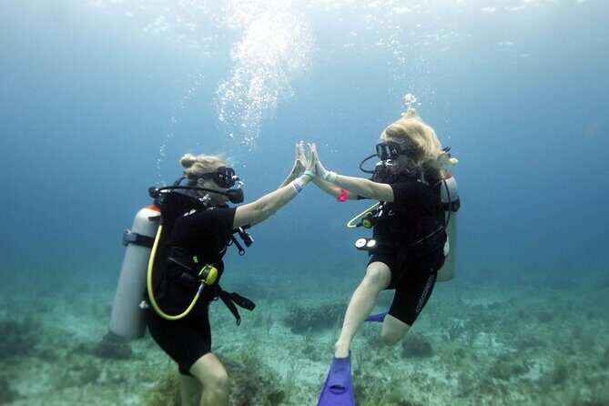 PADI Open Water Diver Course - Authentic Experiences and Authenticity