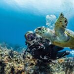 PADI Open Water Diver Course in Playa del Carmen - The Certification Process and Value