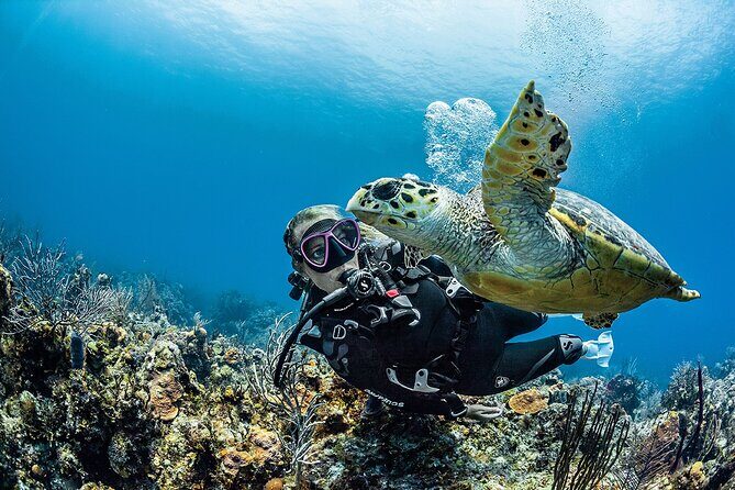 PADI Open Water Diver Course in Playa del Carmen - The Certification Process and Value