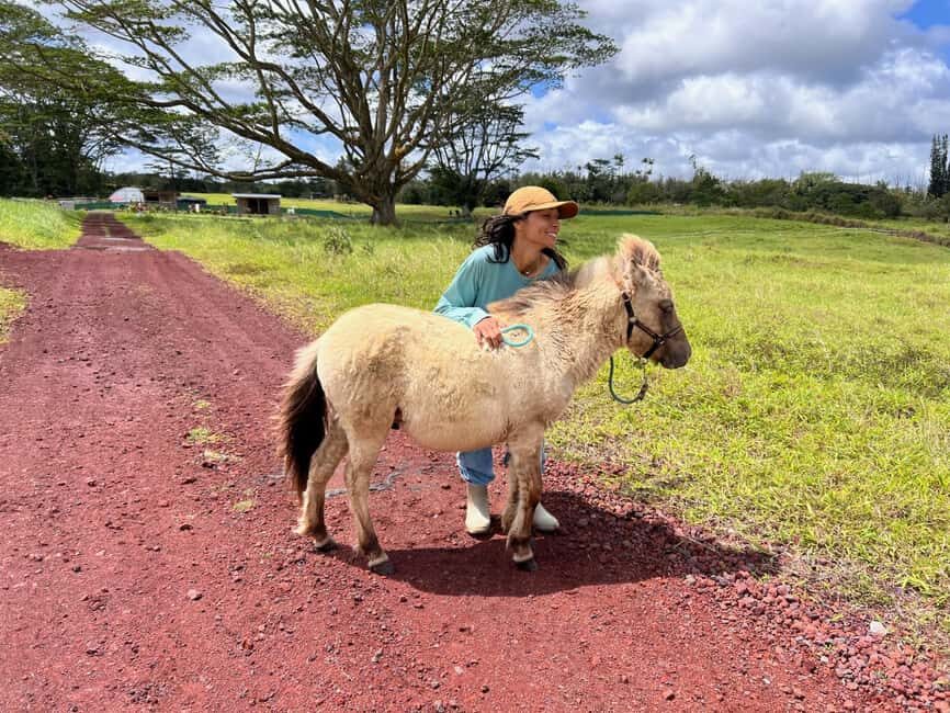 Pahoa: Ranch Tour with Animal Feedings and Interactions - The Practical Side: Costs, Group Size, and Other Details