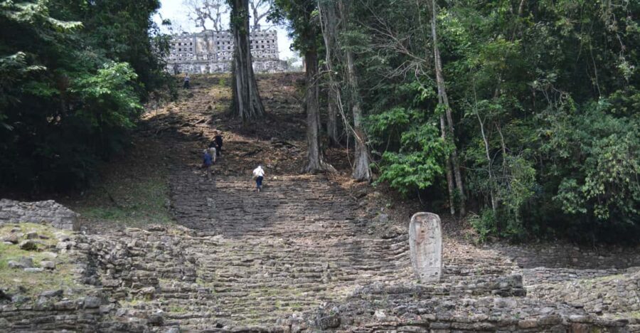 Palenque: 2-Day Lacandon Jungle, Yaxchilan, & Bonampak Trip - The Practicalities: Transportation, Guide, and Group Size