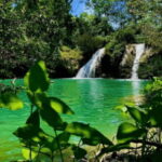 Palenque: Roberto Barrios Waterfall Tour - Who Will Love This Tour?