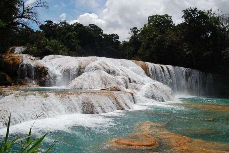 Palenque Site, Agua Azul & Misol Ha from San Cristobal - What Travelers Say