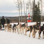 Palmer: "Dogs and Glaciers" Sledding and Helicopter Tour - Detailed Breakdown of the Itinerary