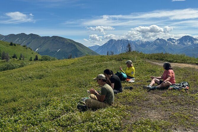 Palmer's Hidden Waterfalls: Full Day Hike - What to Expect: Transportation, Group Size, and Physical Demands
