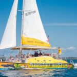 Panama City Beach: Dolphin Sightseeing Trip by Catamaran - Why Choose This Tour?