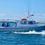 Panama City Beach: Private Sunset Cruise - What’s Worth Noting