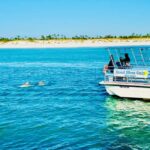 Panama City Beach: Snorkel Excursion with Good Jibez Only - Why This Tour Offers Good Value