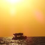 Panama City: Sunset Dolphin Cruise in St. Andrews Bay - The Value of the Tour