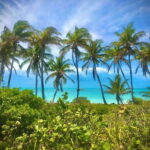 PARADISE ISLAND- ISLA CONTOY AND ISLA MUJERES - The Boat Ride and Snorkeling Experience