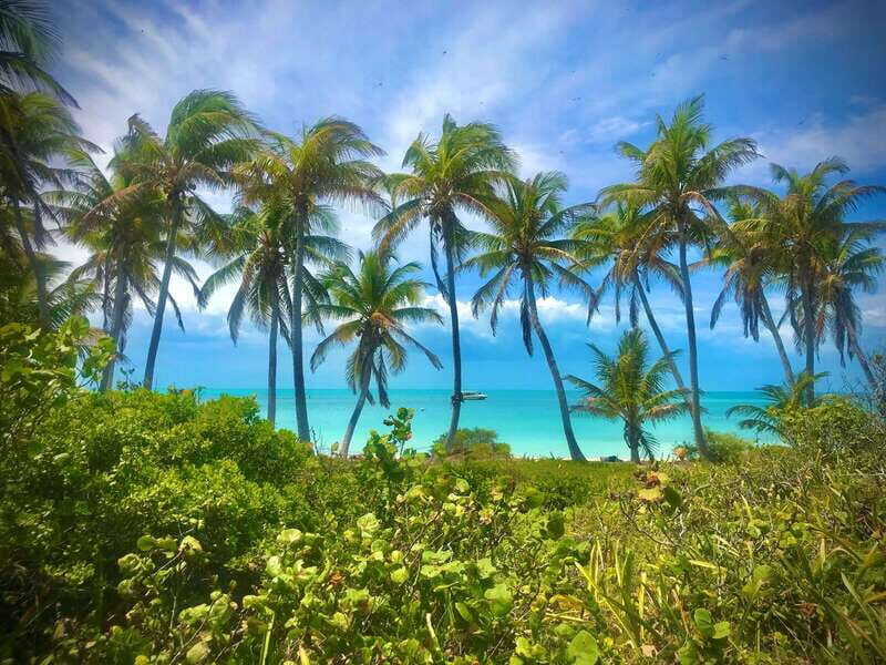 PARADISE ISLAND- ISLA CONTOY AND ISLA MUJERES - The Boat Ride and Snorkeling Experience