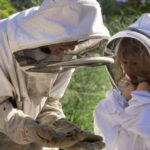 Paradise Valley: Bee Adventure Tour! - Why This Tour Works for Different Travelers