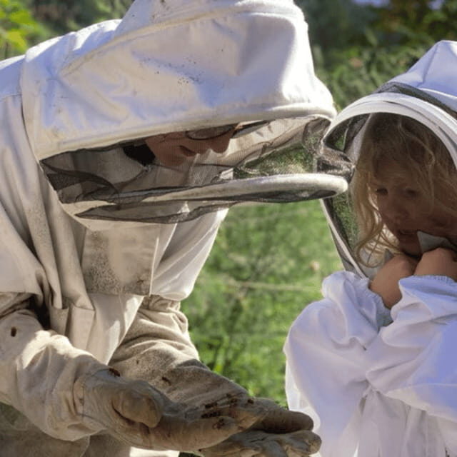 Paradise Valley: Bee Adventure Tour! - Why This Tour Works for Different Travelers