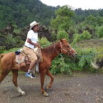 Paricutin Volcano Crater Special Tour - The Itinerary in Detail