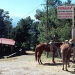 Paricutin Volcano Tour (Morelia) - Final Thoughts