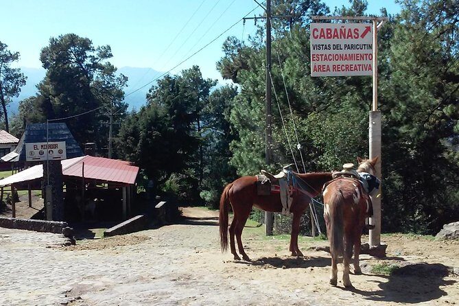 Paricutin Volcano Tour (Morelia) - Final Thoughts