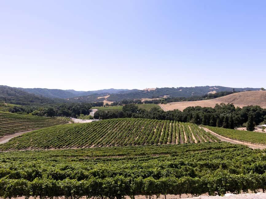 Paso Robles: 3-Winery Tour with Tastings and Lunch - Analyzing the Value