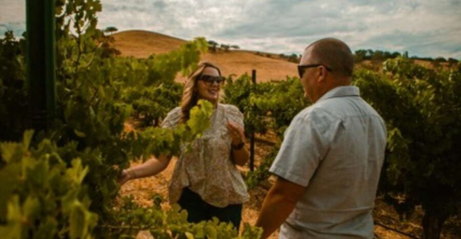 Paso Robles: Grapevine Getaway Exclusive Wine Tour - Who Should Consider This Tour?