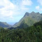 Pearl Harbor and Mini Circle Island Tour from Kauai - The Value of the Tour