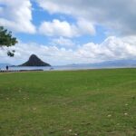 Pearl Harbor Island Tour with lunch and Byodo Temple - Final Thoughts