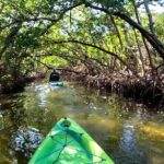 Pedal Kayak Mangrove Tunnel Tour in Bradenton - The Sum Up: Is It Worth It?