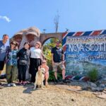 Peggys Cove & Lunenburg + 3 Hidden Gems  Full Day Tour - The Overall Experience: Comfort, Value, and Authenticity