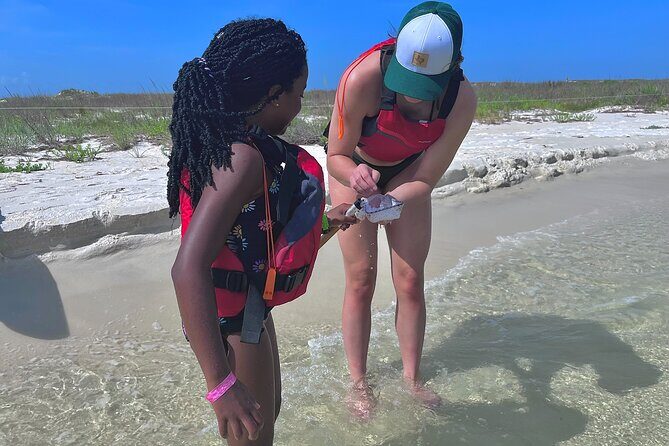Pensacola Beach Kayak Tour - Practical Details to Consider