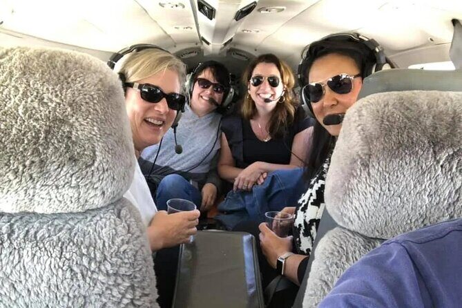 Pensacola Beach Private Plane Tour Perfect for Families - Who Should Consider This Tour?