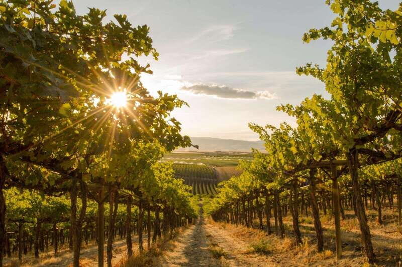 Penticton: Naramata Bench Full Day Guided Wine Tour - The Itinerary Breakdown