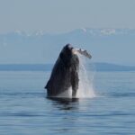 People Water Land- Indigenous Cultural and Wildlife Tour - Practical Details and Tips