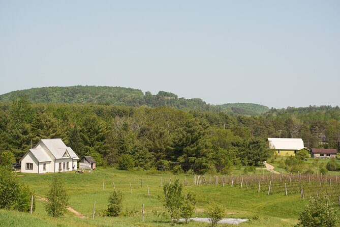 Petite Nation Wine & Cider Tour - Day Trip From Ottawa & Gatineau - Third Stop: Verger Croque-Pomme